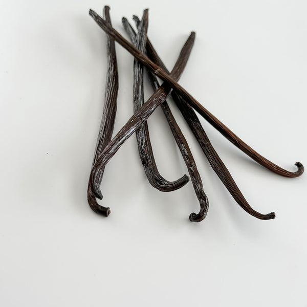 Dominican Republic V. planifolia Vanilla Beans – IndriVanilla
