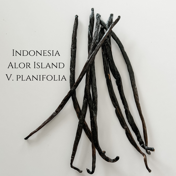 Indonesia, Alor Island, V. planifolia Vanilla Beans 100% Organic ...