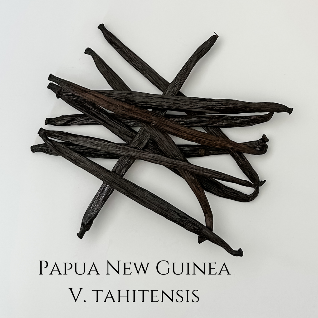 Papua New Guinea V. tahitensis Vanilla Beans – IndriVanilla