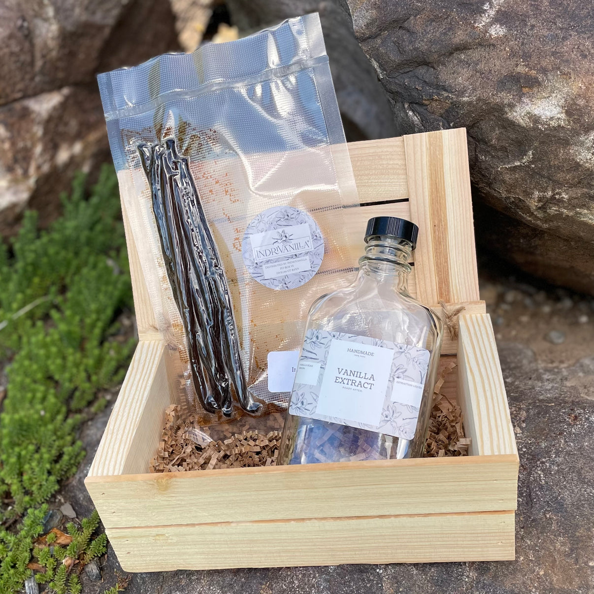 Vanilla Extract Starter Kit – IndriVanilla