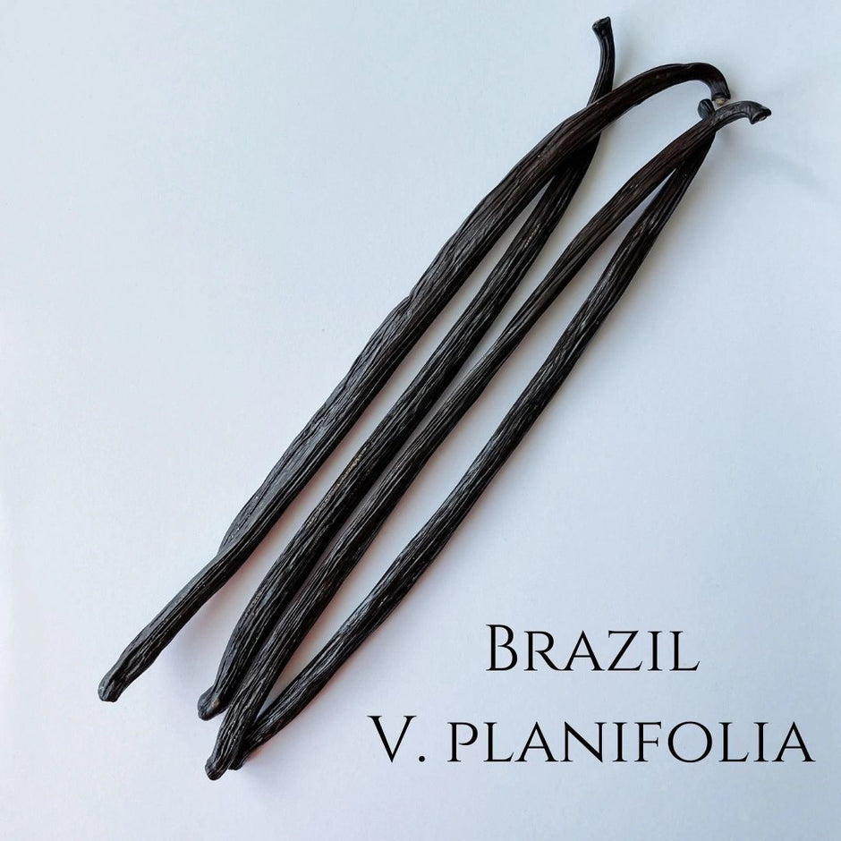 Vanilla Beans – IndriVanilla